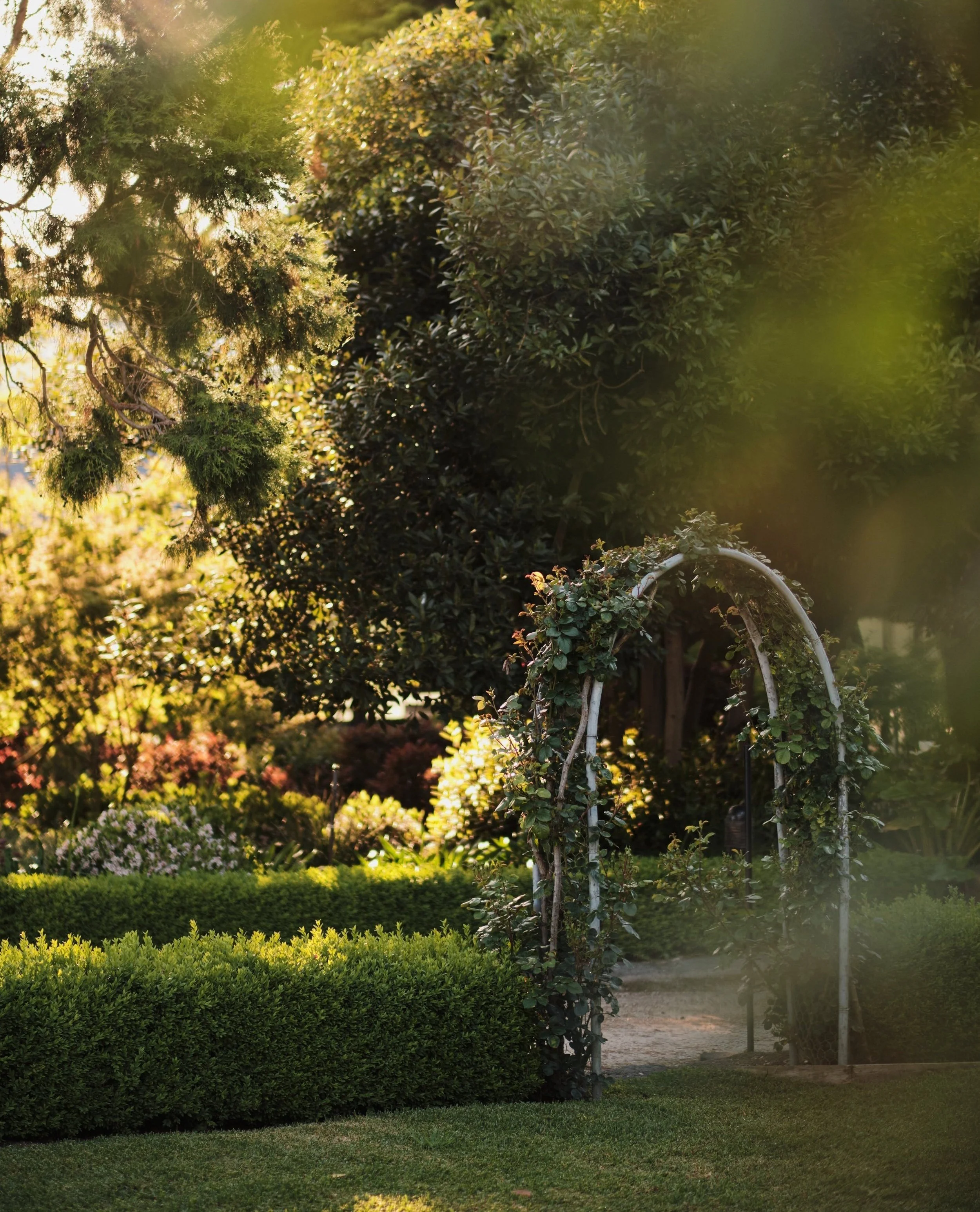Marnong Estate: Where Wedding Dreams Come True