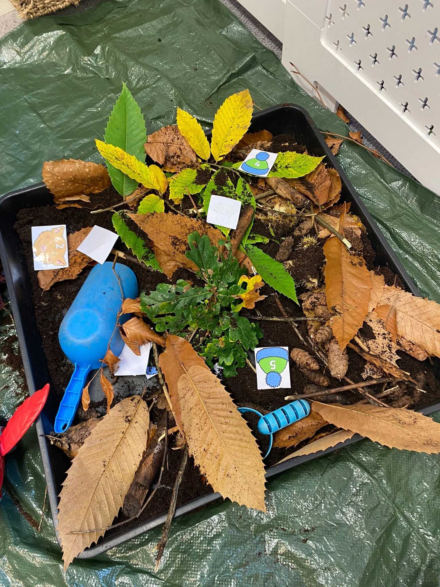 Kinver Garden Day Nursery