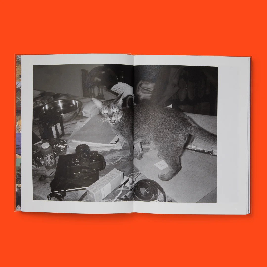 Paige Powell Book Set Out From Dashwood