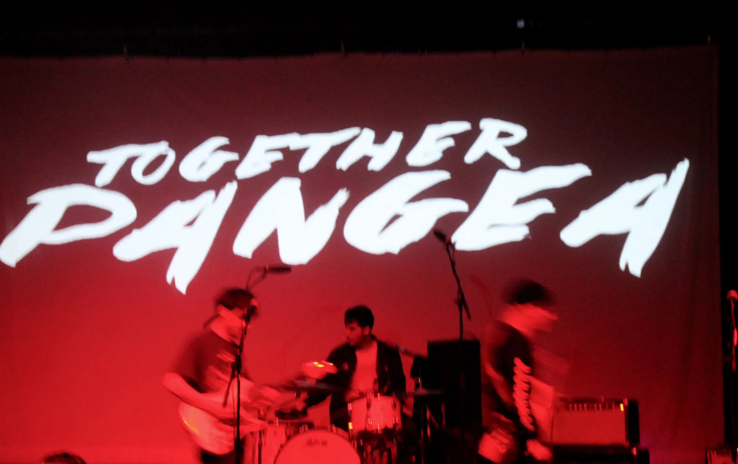Together Pangea | Summer Tour Q&A