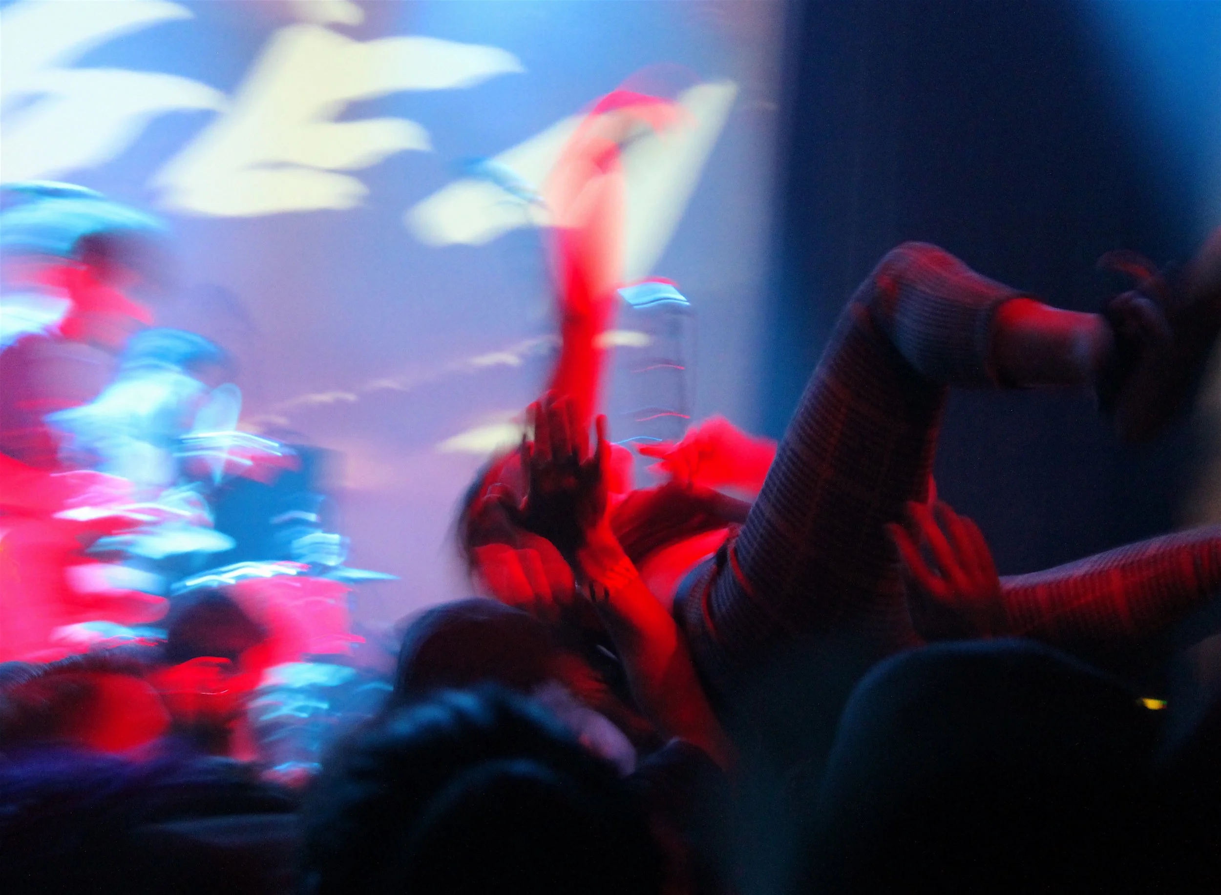 Together Pangea | Summer Tour Q&A