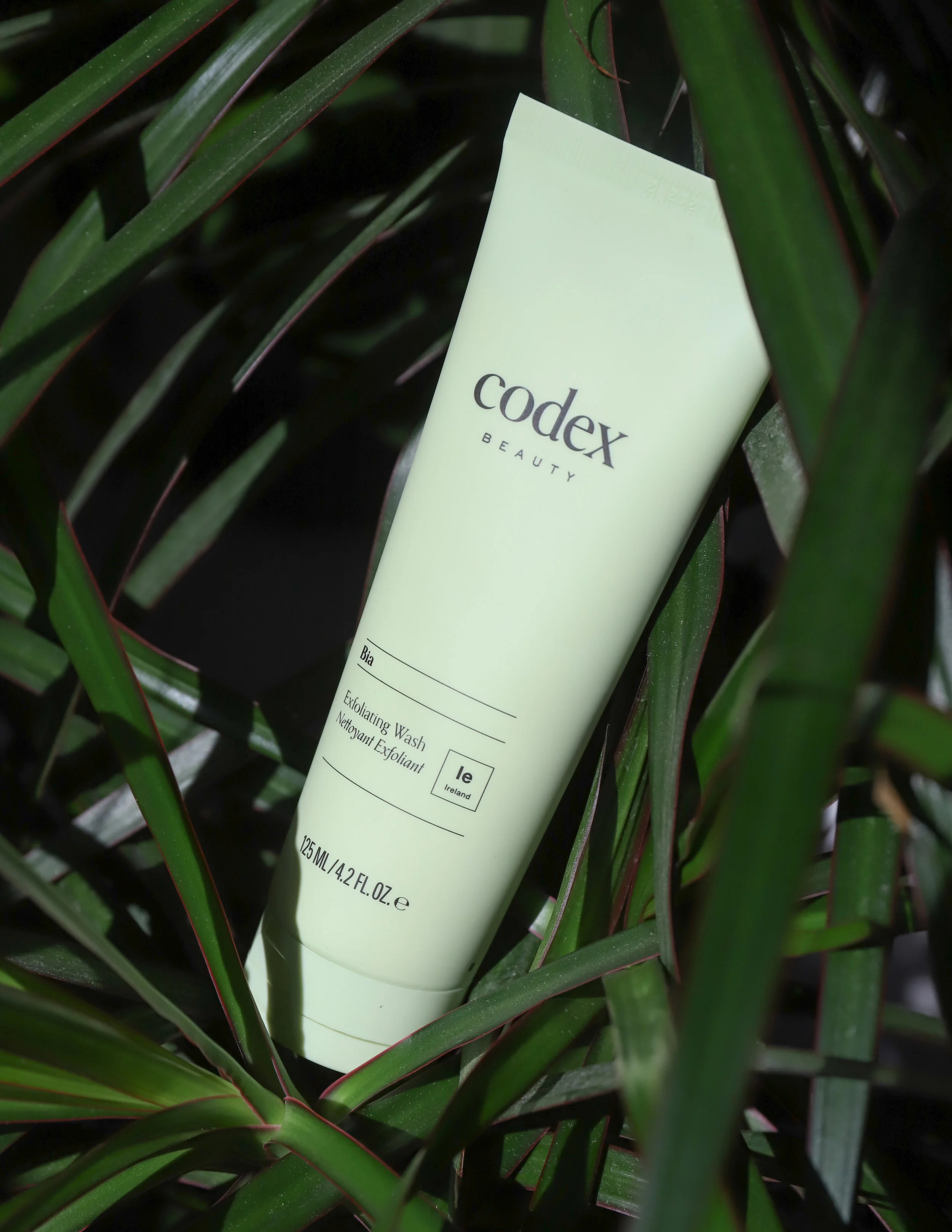 Smooth Lines | Codex Beauty Bia Collection