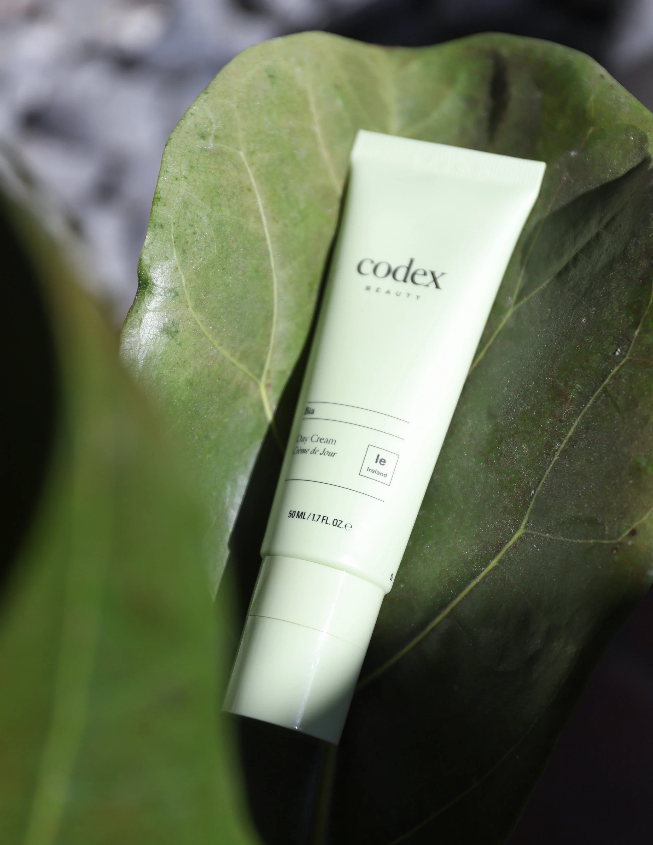 Smooth Lines | Codex Beauty Bia Collection