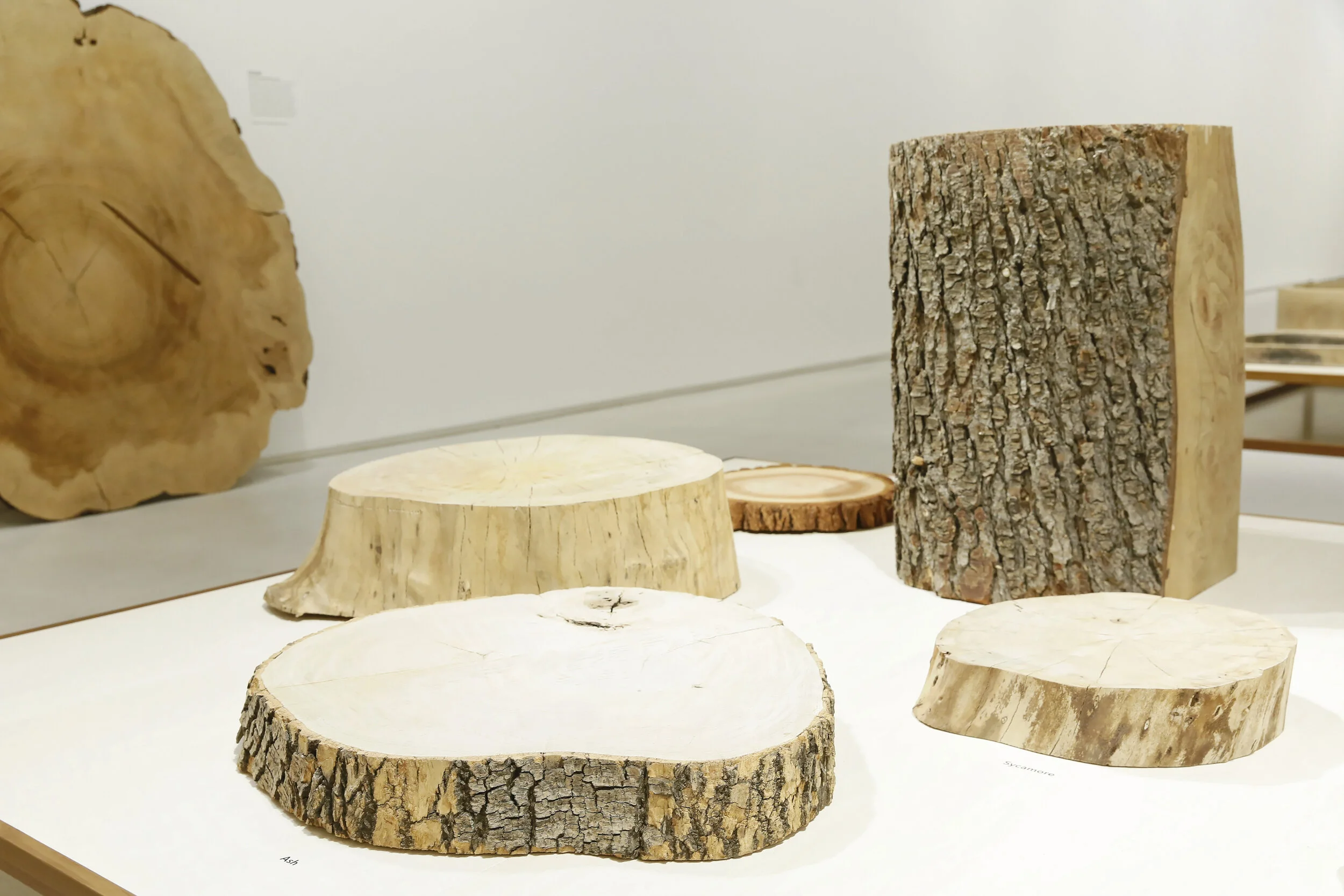 HIDA | A WOODWORK TRADITION IN THE MAKING