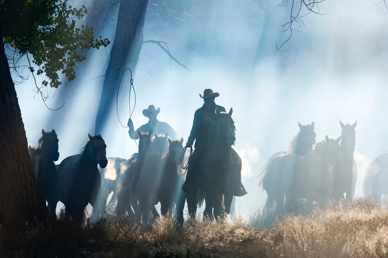 Jim Krantz Exhibition | The Way of the West