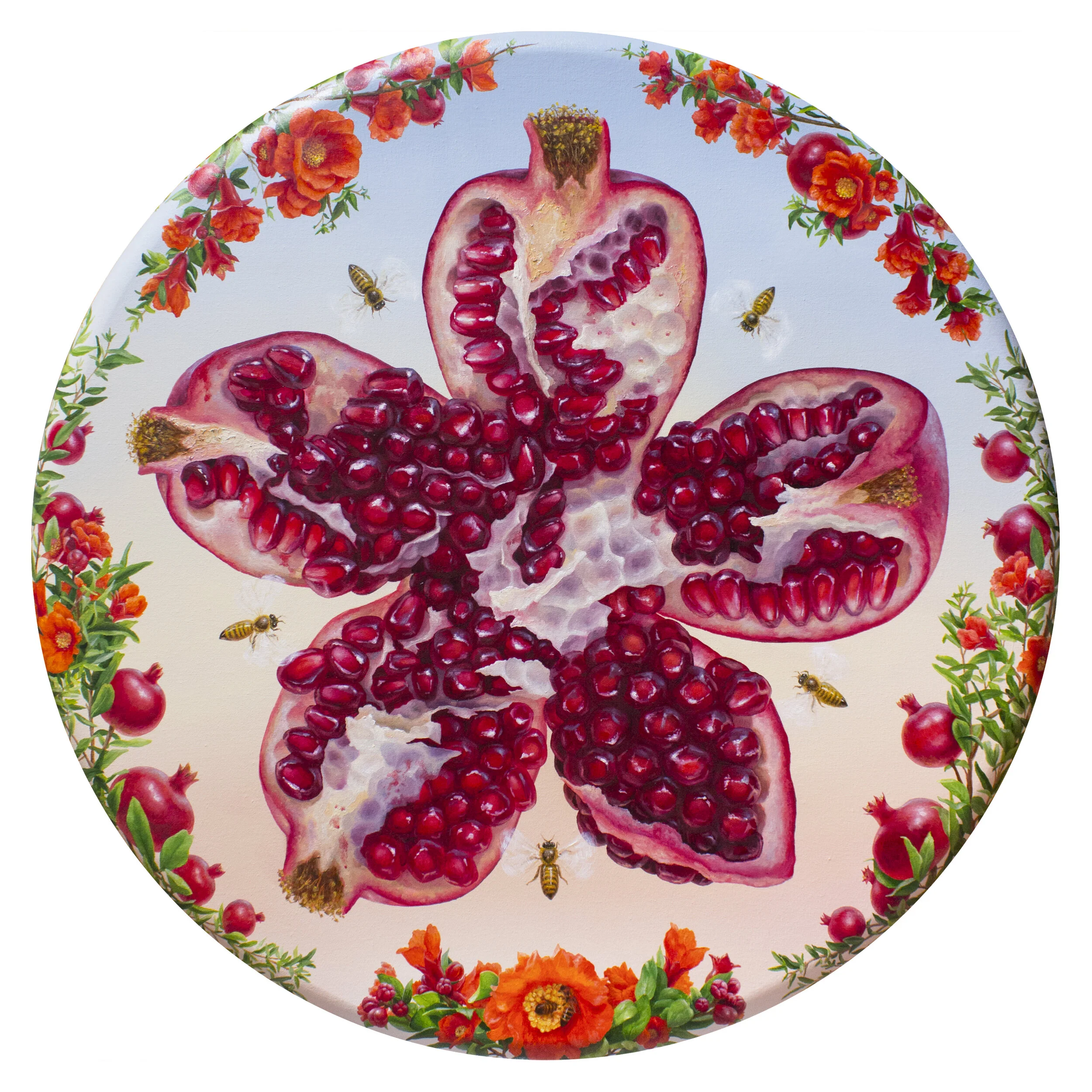 Alonsa Guevara | Solo Exhibition at Anna Zorina Gallery