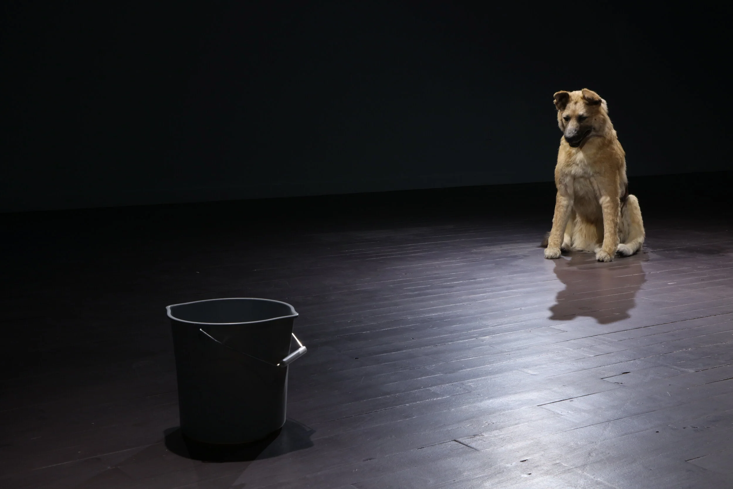 Piero Golia | 'The Dog and the Drop' at the Dries Van Noten Little House