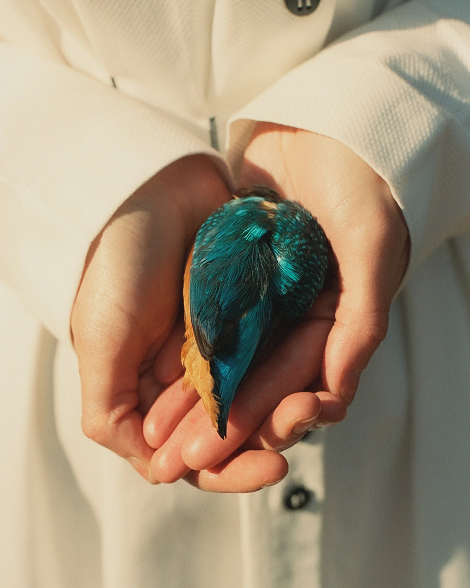 Elle Kaye | And thus endowment rich and vast, Be rescued from the ...