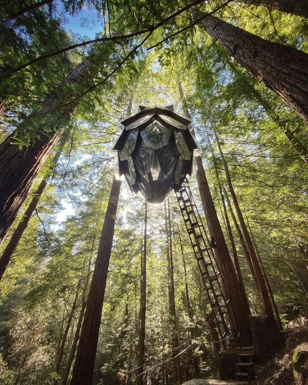O2 Treehouse | Luxury houses to spaceships suspended in the trees