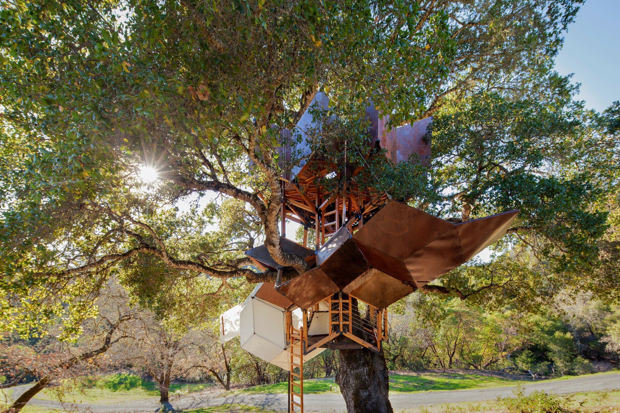 O2 Treehouse | Luxury houses to spaceships suspended in the trees