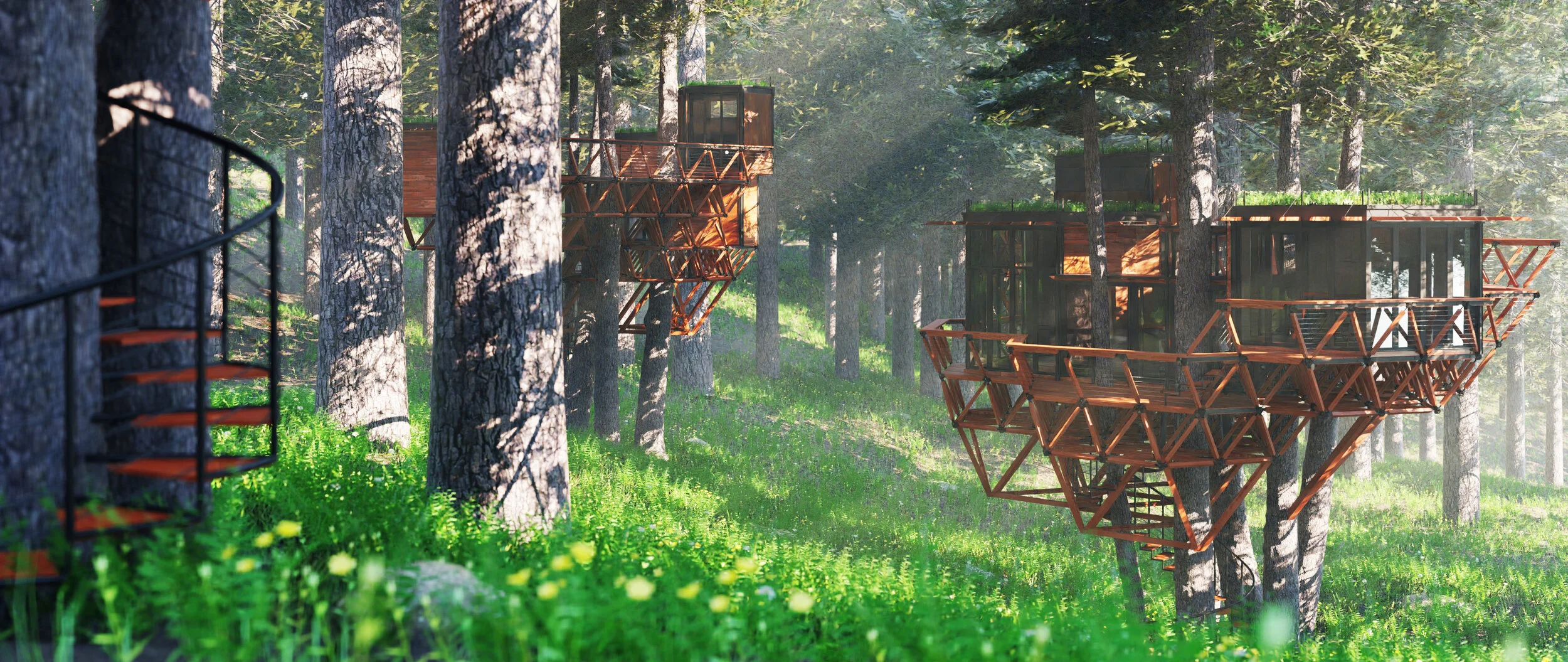 O2 Treehouse | Luxury houses to spaceships suspended in the trees