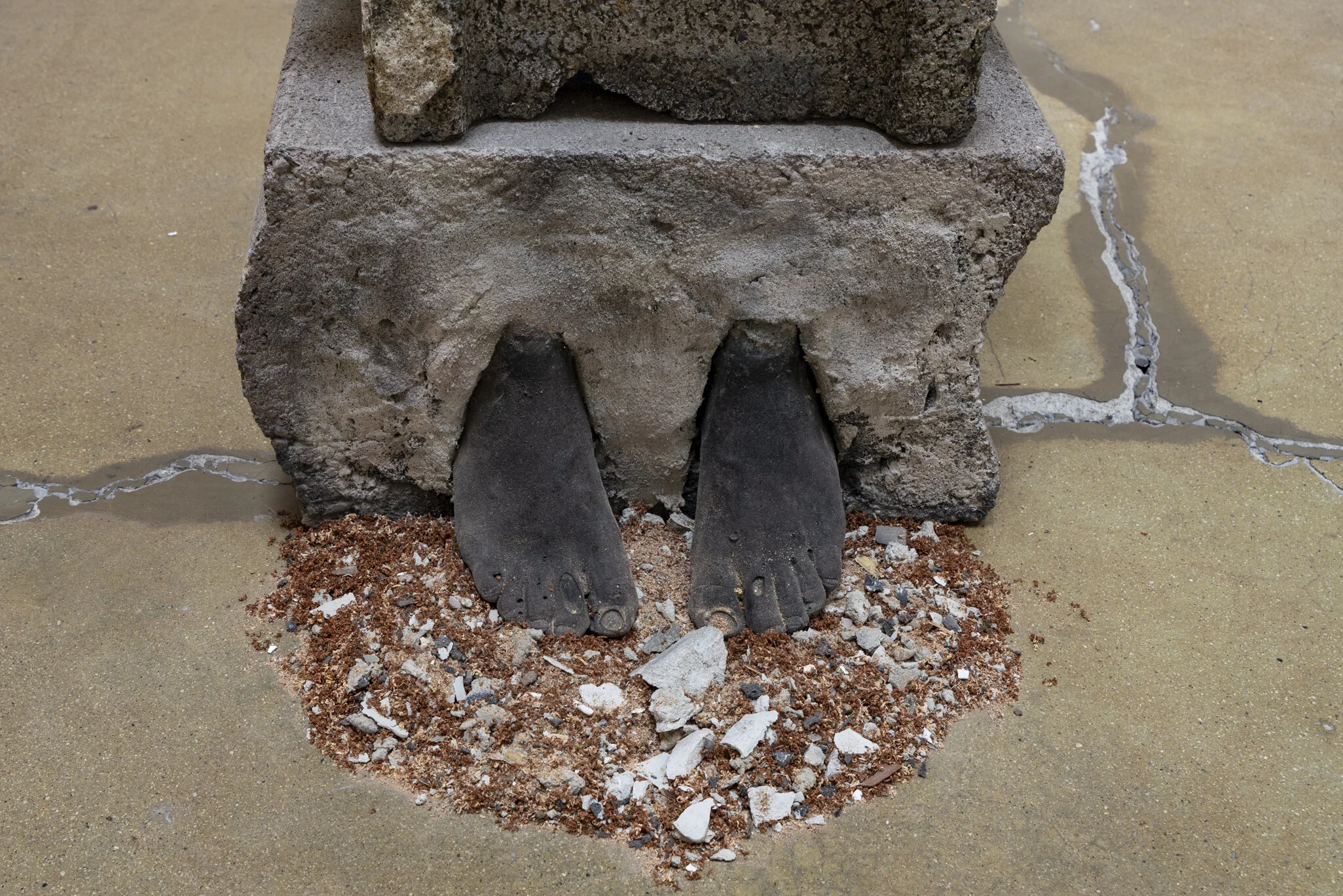 Chiffon Thomas | The Artist's Debut Solo Show at Kohn Gallery