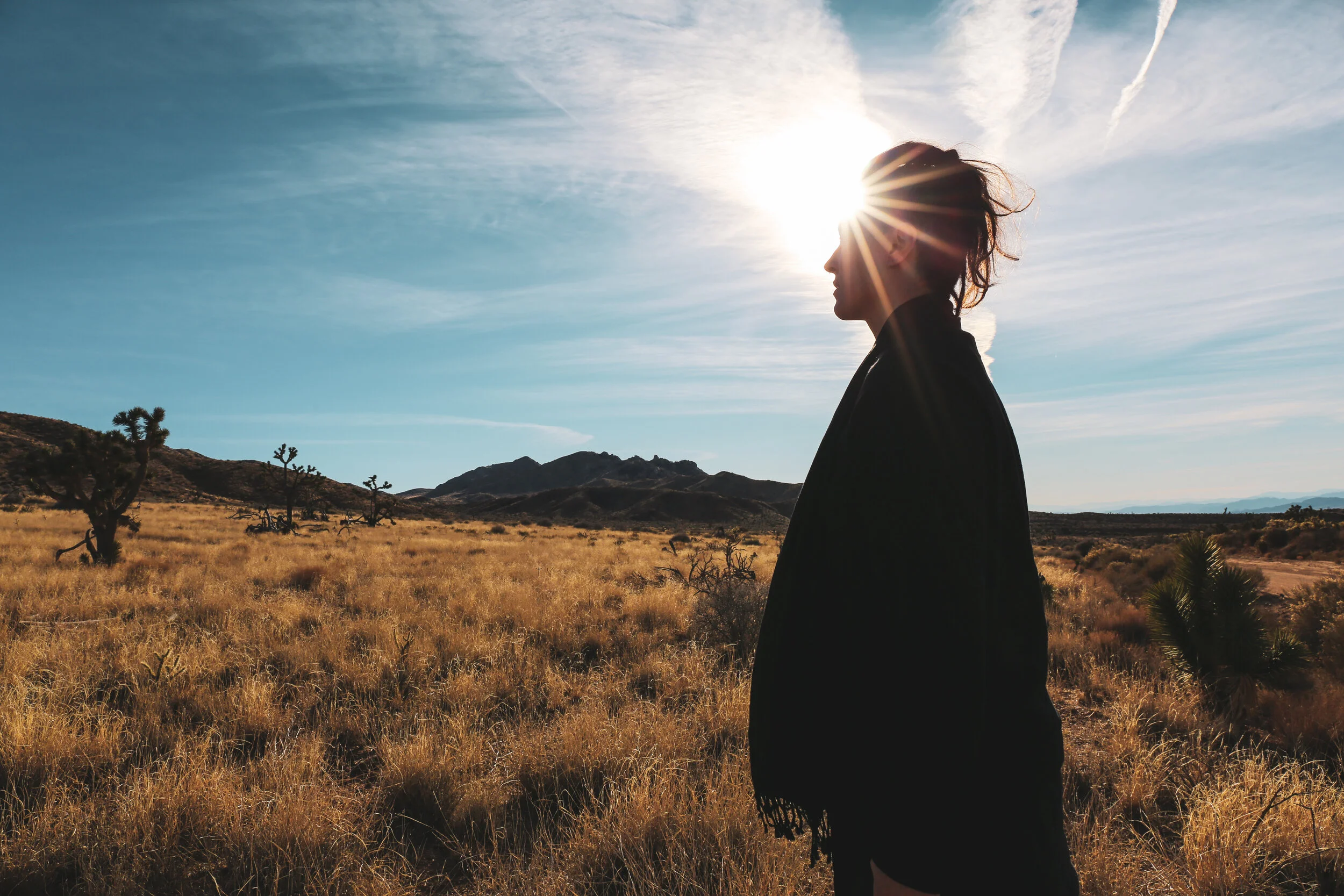 Torii Wolf | A Meditation on Soul Entanglement with "Ten Billion Years"