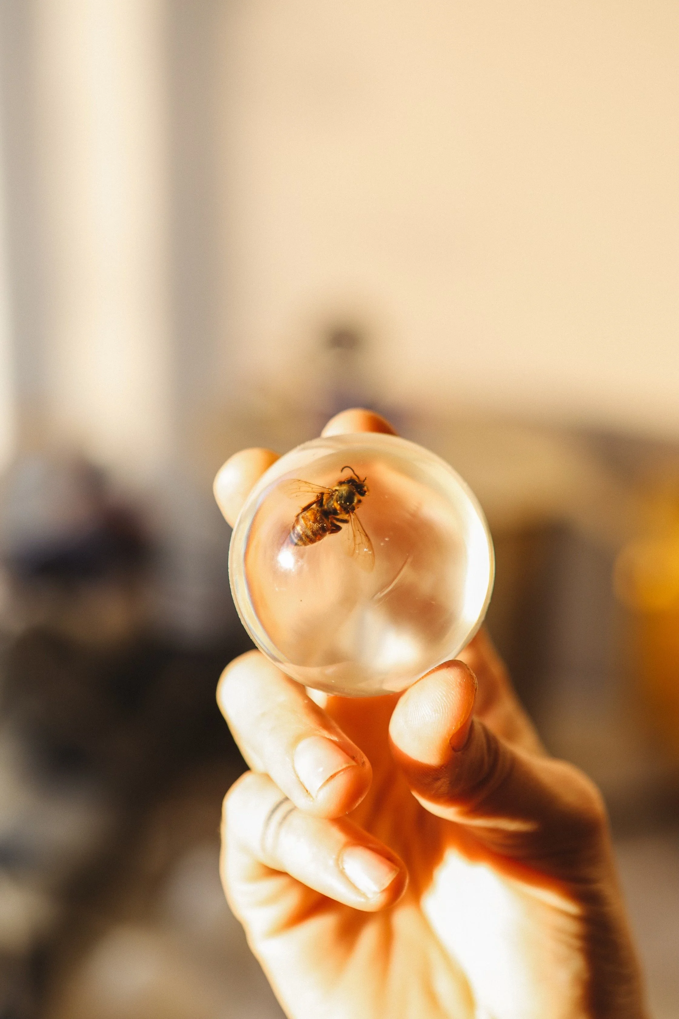 Jess Bush | The 'Strange New Worlds' of Hollywood