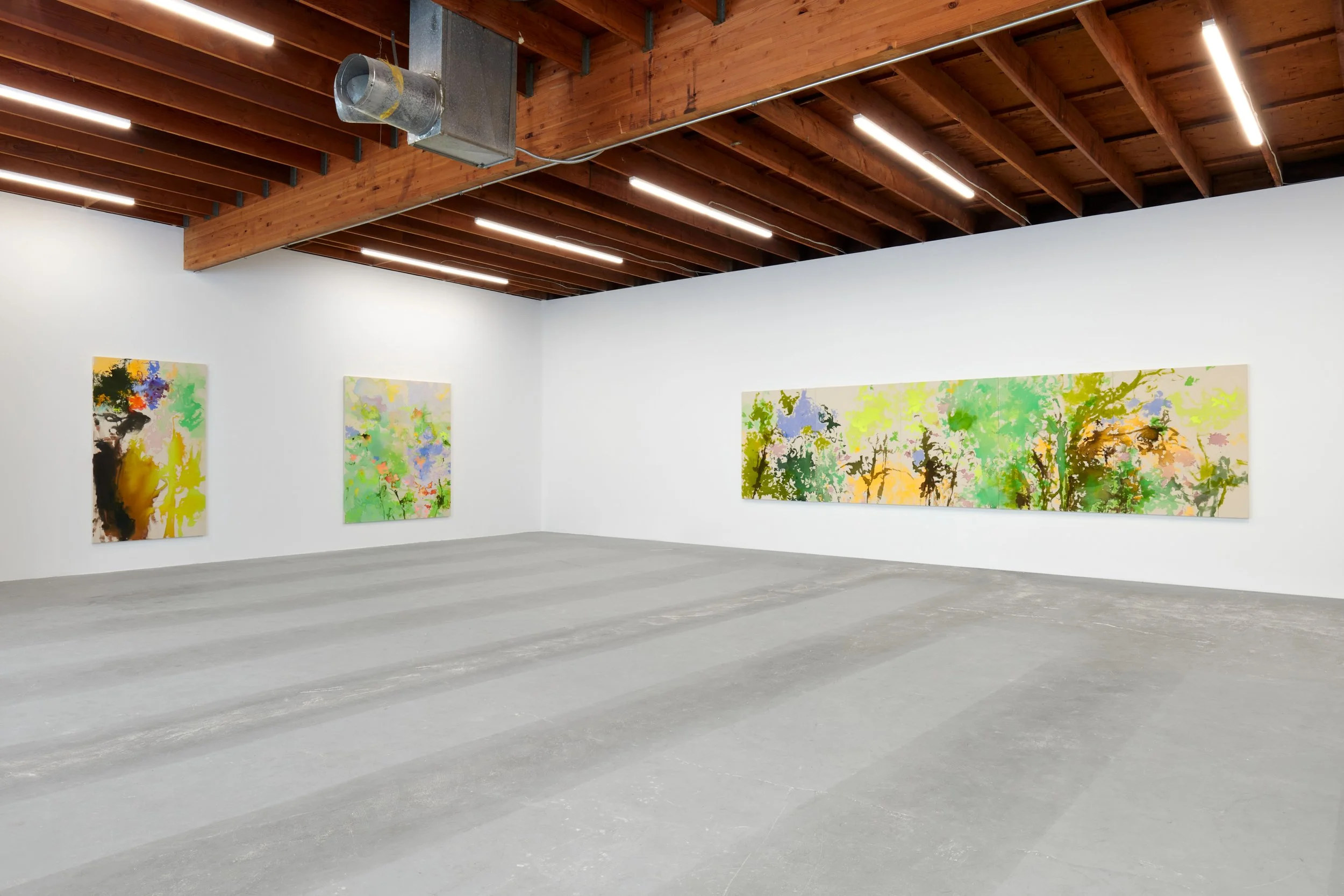 Colleen Herman | Exploring the Energies Within with 'The Nature of Nature'