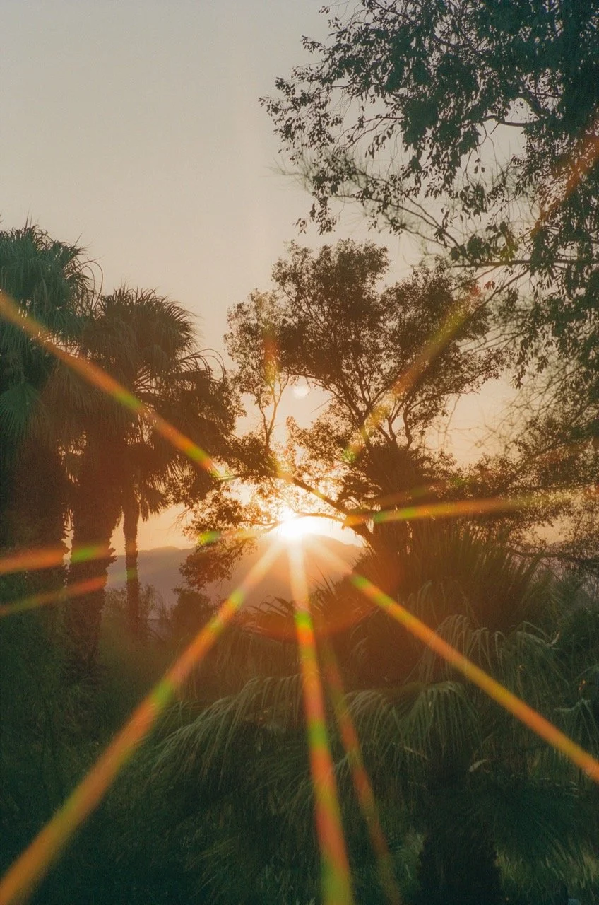 Two Bunch Palms | One of the West Coast's Coolest Resorts Enjoys a ...