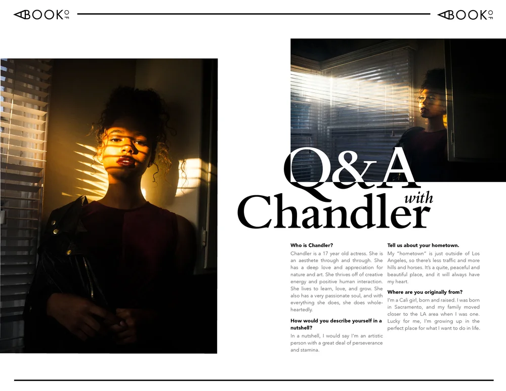 CHANDLER KINNEY [LETHAL WEAPON] — A BOOK OF MAGAZINE