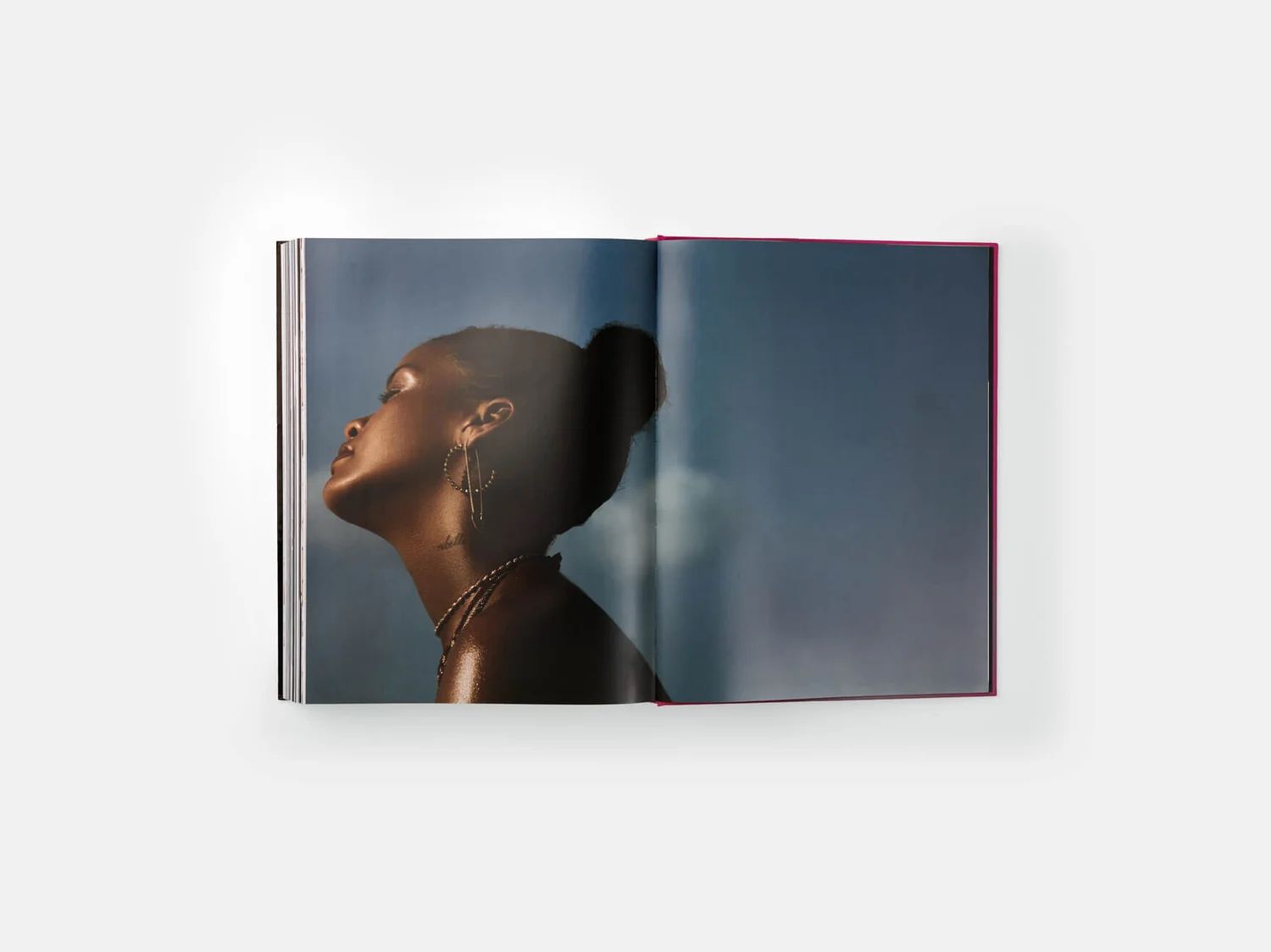 The massive Rihanna Book published by Phaidon is a stunning 504-pages ...