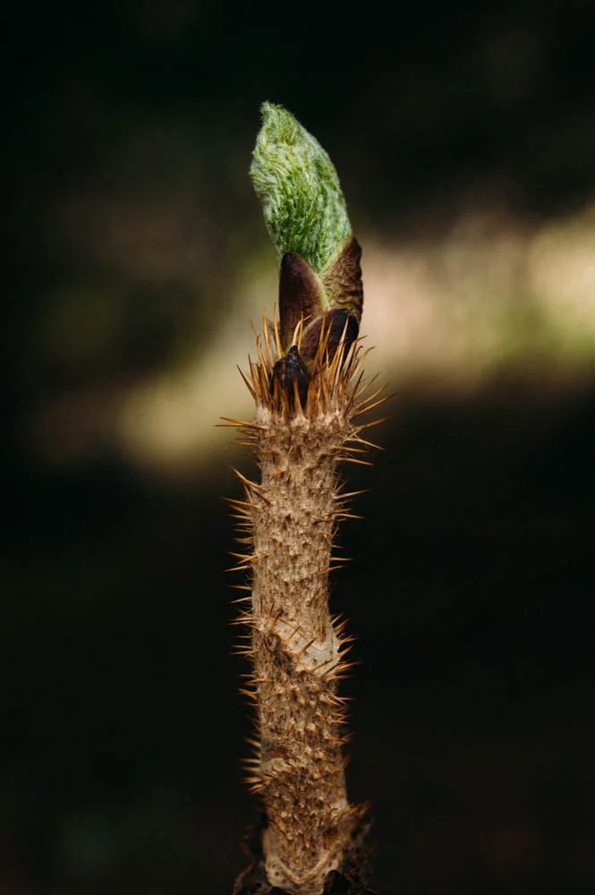 brian Grobleski photography