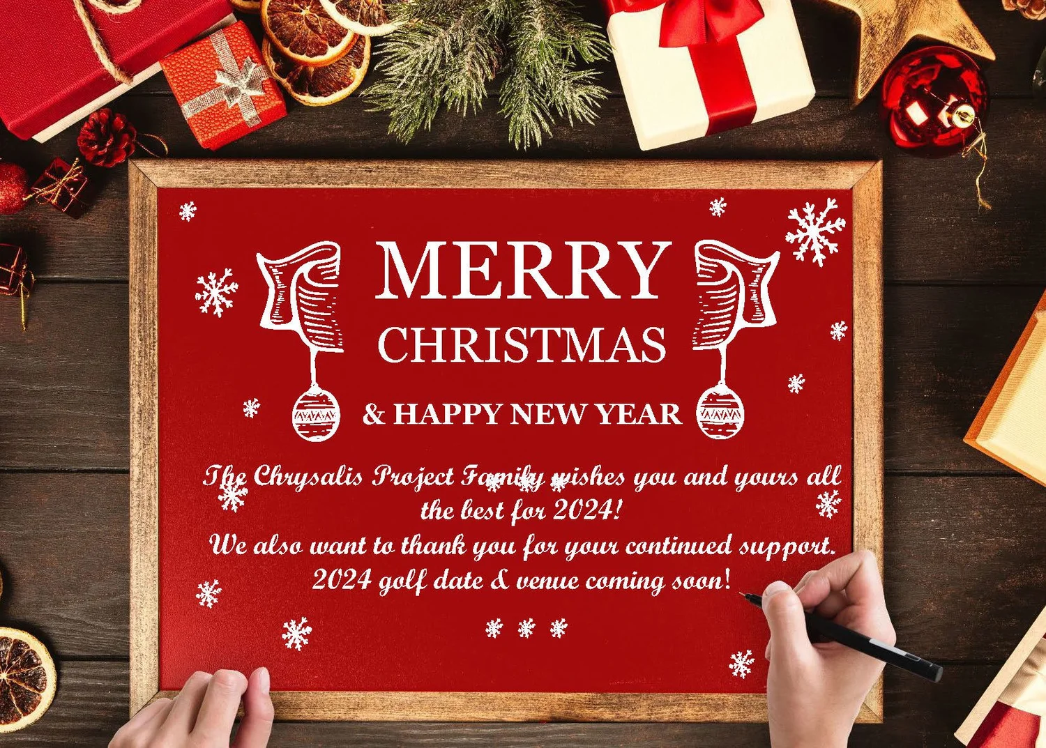 The Chrysalis Project