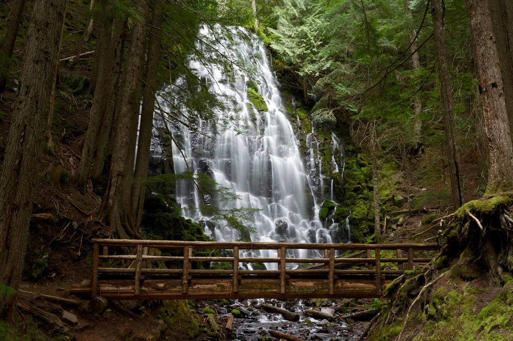 Ramona Falls — Maura Brady