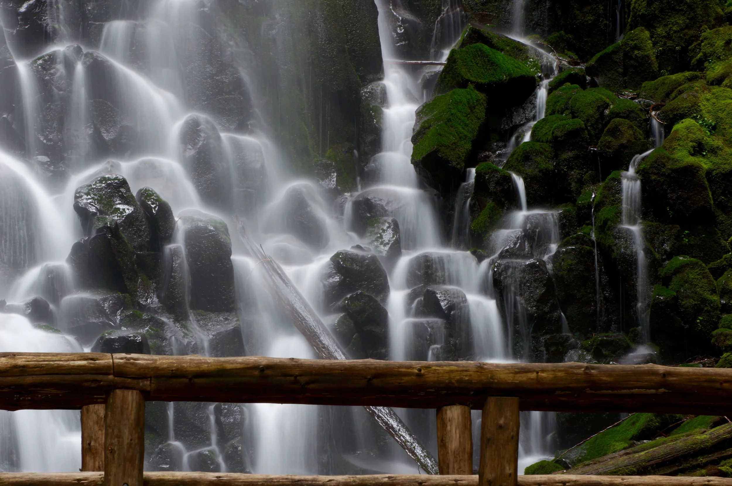 Ramona Falls — Maura Brady