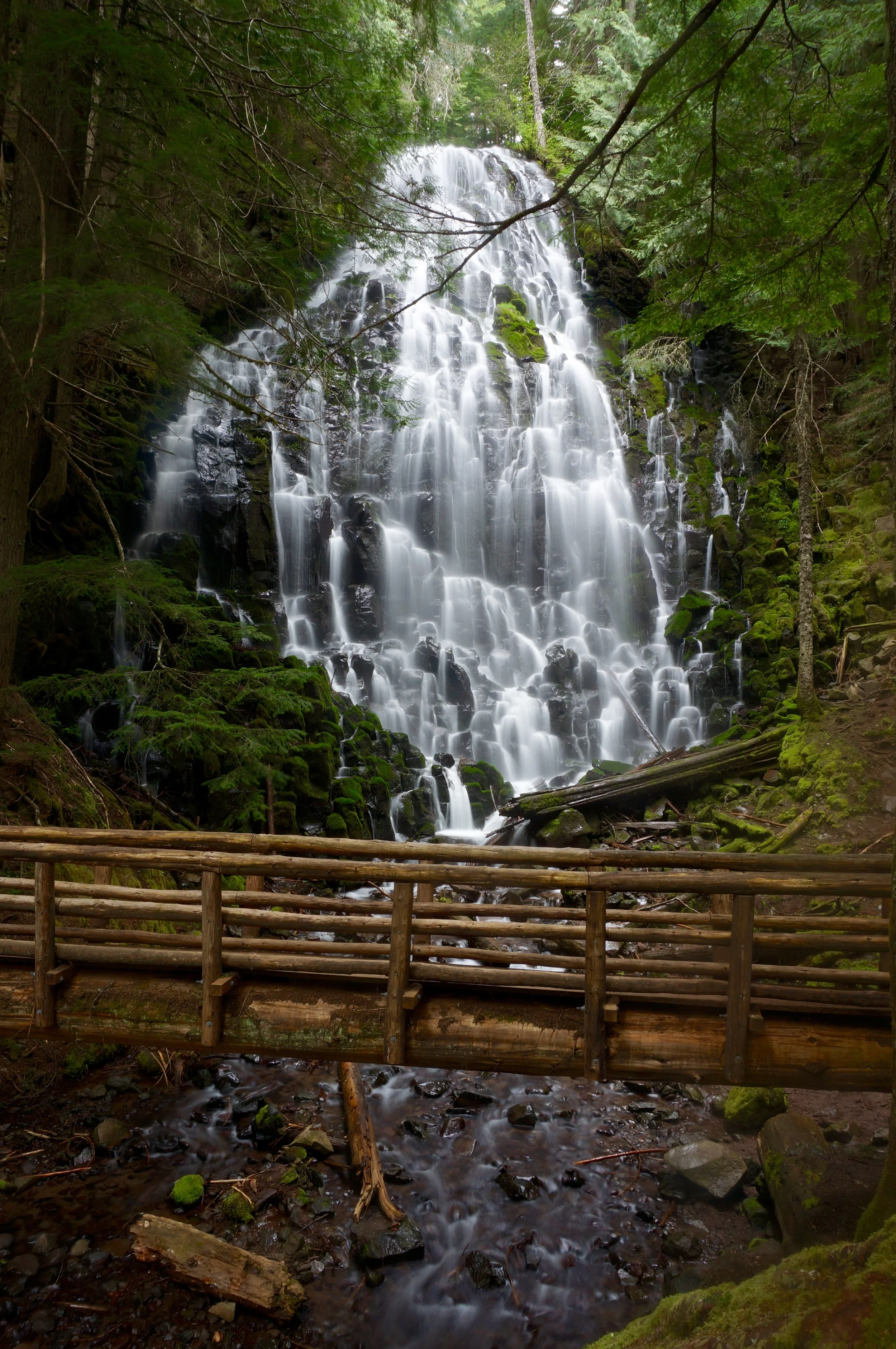 Ramona Falls — Maura Brady