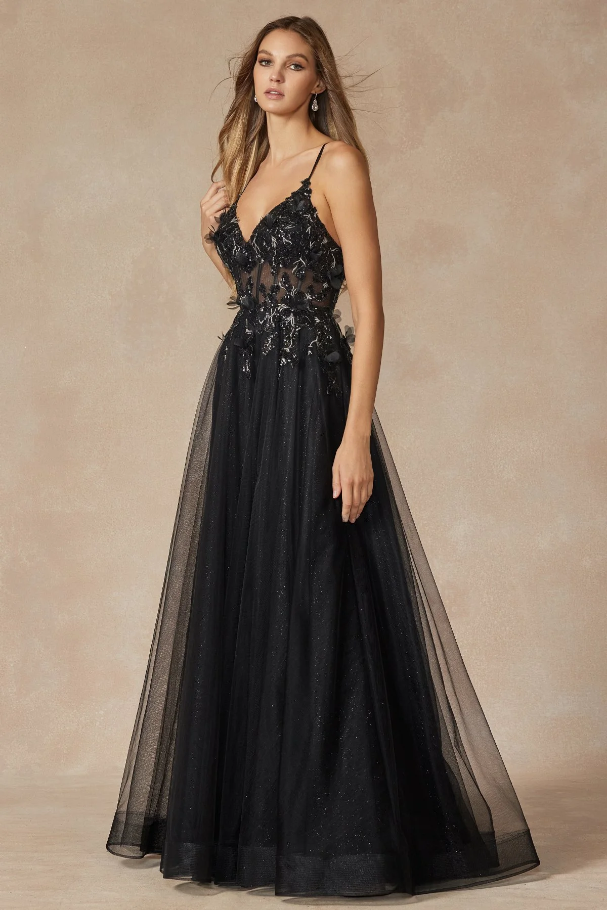 Black A-line Prom Dress- JT2401 — Danielly's Boutique