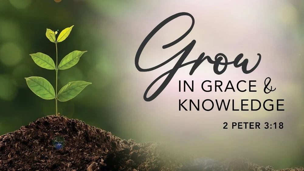 Grow in grace and knowledge — Power Packed Promises