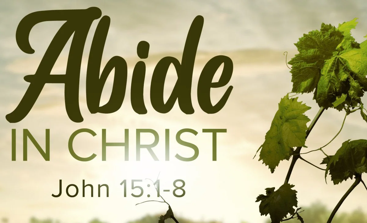 Abide in Jesus and His Words, and it Shall be Done — Power Packed Promises