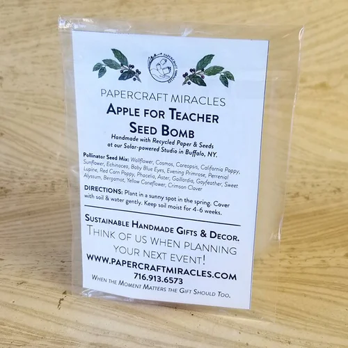 Handmade Seed Bombs for Eco-Friendly Gifts | Papercraft Miracles ...
