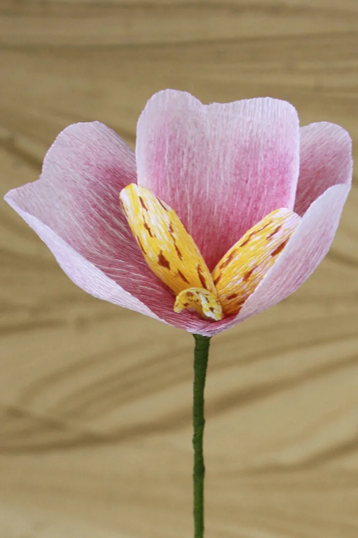 Handcrafted paper flowers and plants for sale — PAPERCRAFT MIRACLES LLC
