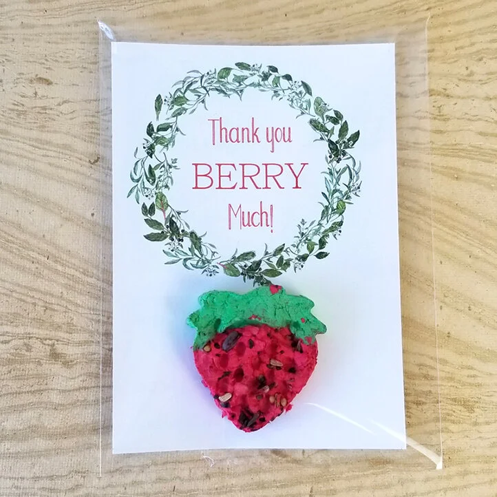 Handmade Seed Bombs for Eco-Friendly Gifts | Papercraft Miracles ...