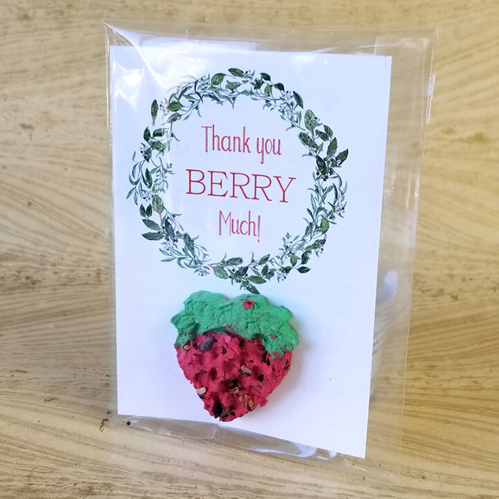 Handmade Seed Bombs for Eco-Friendly Gifts | Papercraft Miracles ...