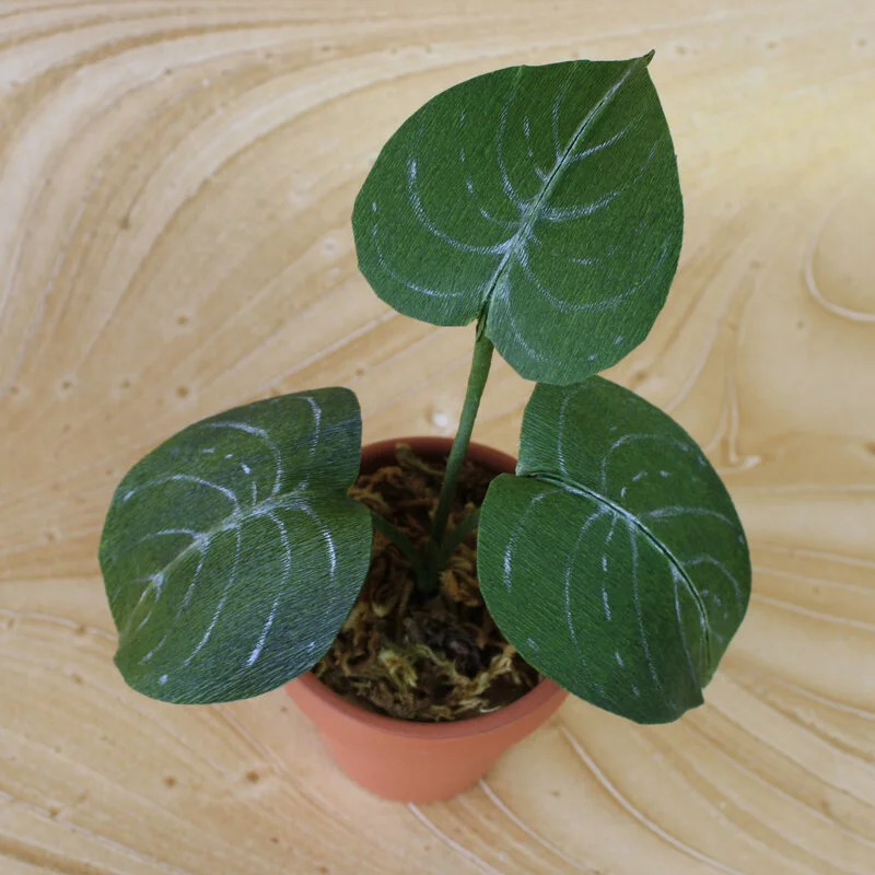 VARIEGATED POTHOS PHILODENDRON IN TERRACOTTA POT — PAPERCRAFT MIRACLES LLC