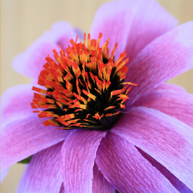 Buy Beautiful Crepe Paper Aster High-Quality Craft Flowers — PAPERCRAFT ...