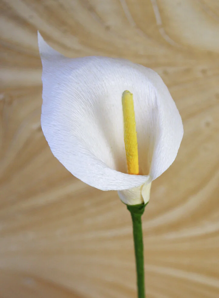 Handcrafted paper flowers and plants for sale — PAPERCRAFT MIRACLES LLC