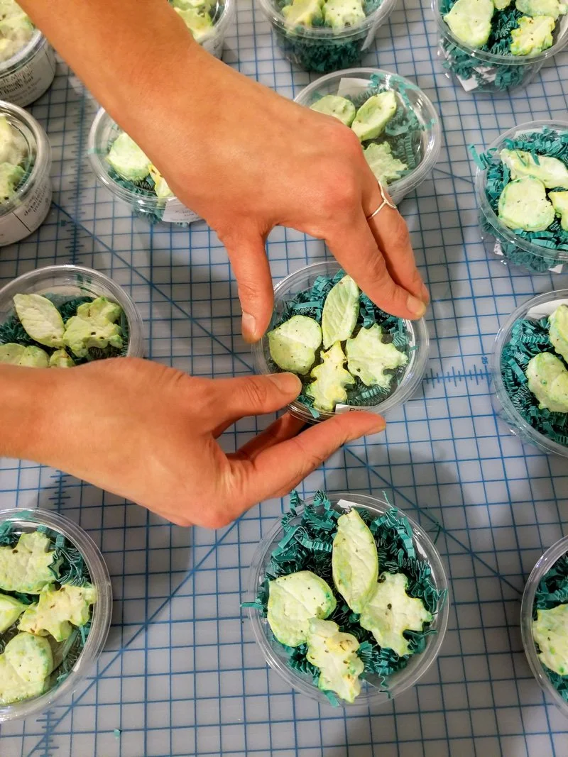 Custom Seed Bombs for Every Occasion | Eco-Friendly Gifts | Papercraft ...