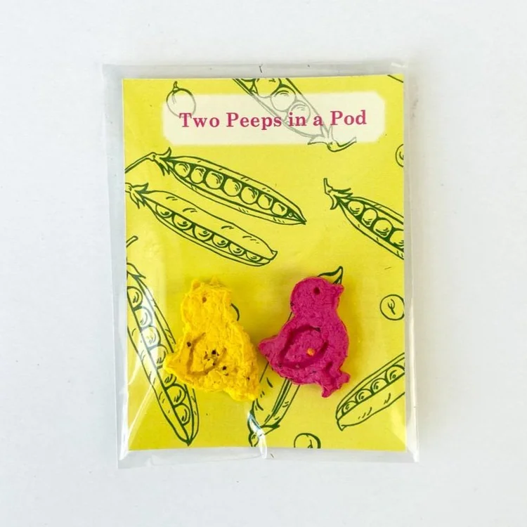 Handmade Seed Bombs for Eco-Friendly Gifts | Papercraft Miracles ...