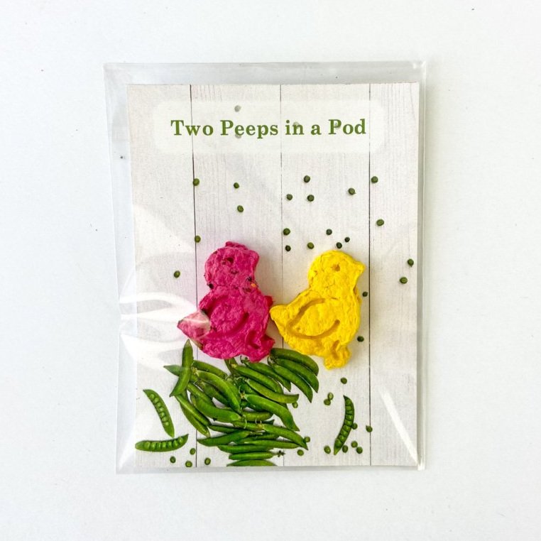 Handmade Seed Bombs for Eco-Friendly Gifts | Papercraft Miracles ...
