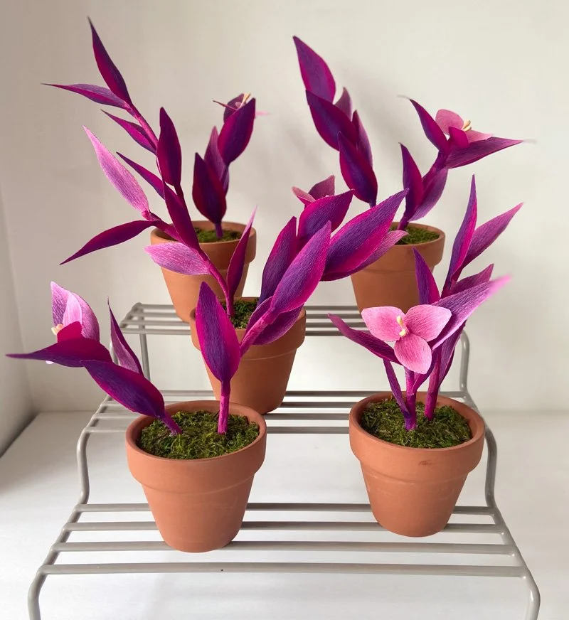 PURPLE RUFFLE PAPER SUCCULENT PLANT IN GEOMETRIC CONCRETE POT ...