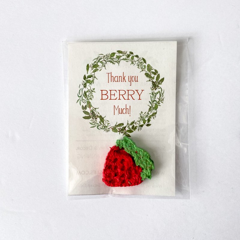Handmade Seed Bombs for Eco-Friendly Gifts | Papercraft Miracles ...