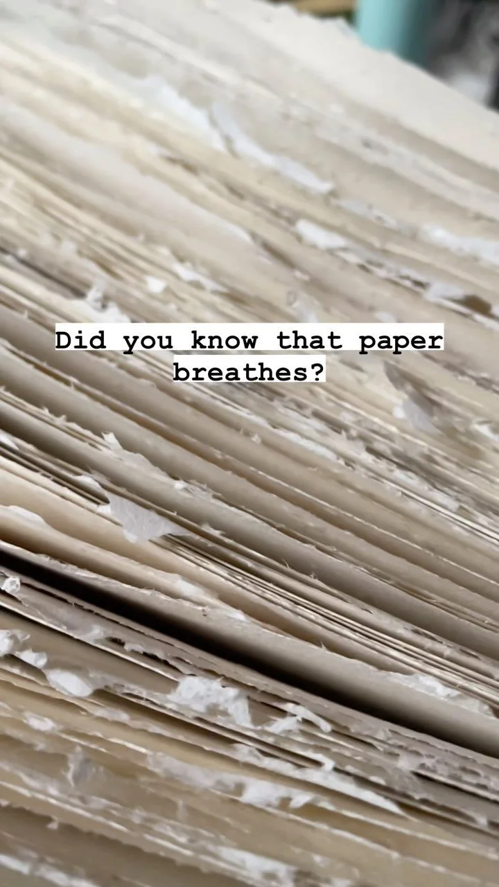 Handcrafted Sustainable Stationery & Paper Flowers Buffalo