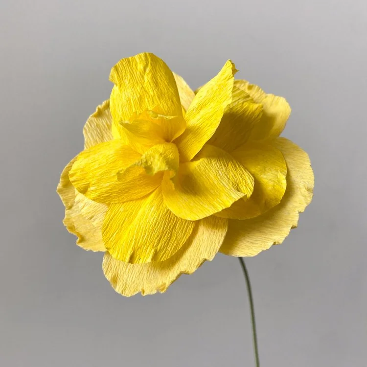 ICELANDIC POPPY CREPE PAPER FLOWER — PAPERCRAFT MIRACLES LLC