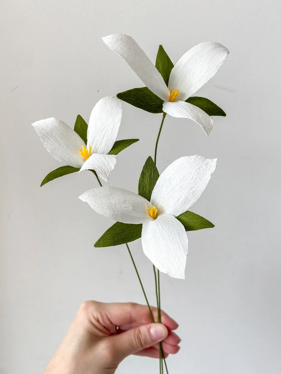 CALLA LILY CREPE PAPER FLOWER — PAPERCRAFT MIRACLES LLC