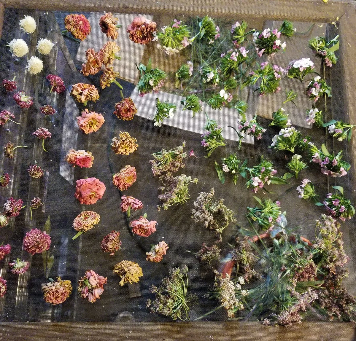 Flower Drying Services | Preserve Your Memories with Papercraft Miracles — PAPERCRAFT MIRACLES LLC