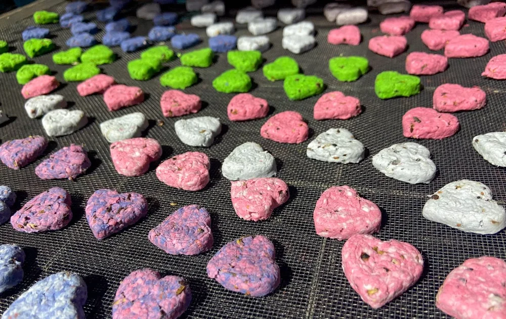 Custom Seed Bombs for Every Occasion | Eco-Friendly Gifts | Papercraft ...