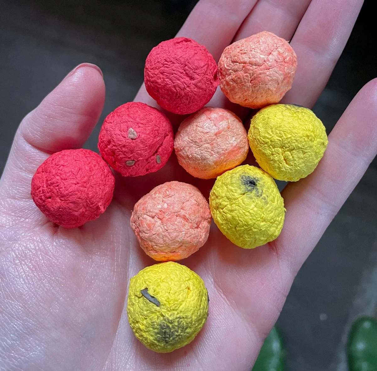 Seed bomb custom orders — PAPERCRAFT MIRACLES LLC