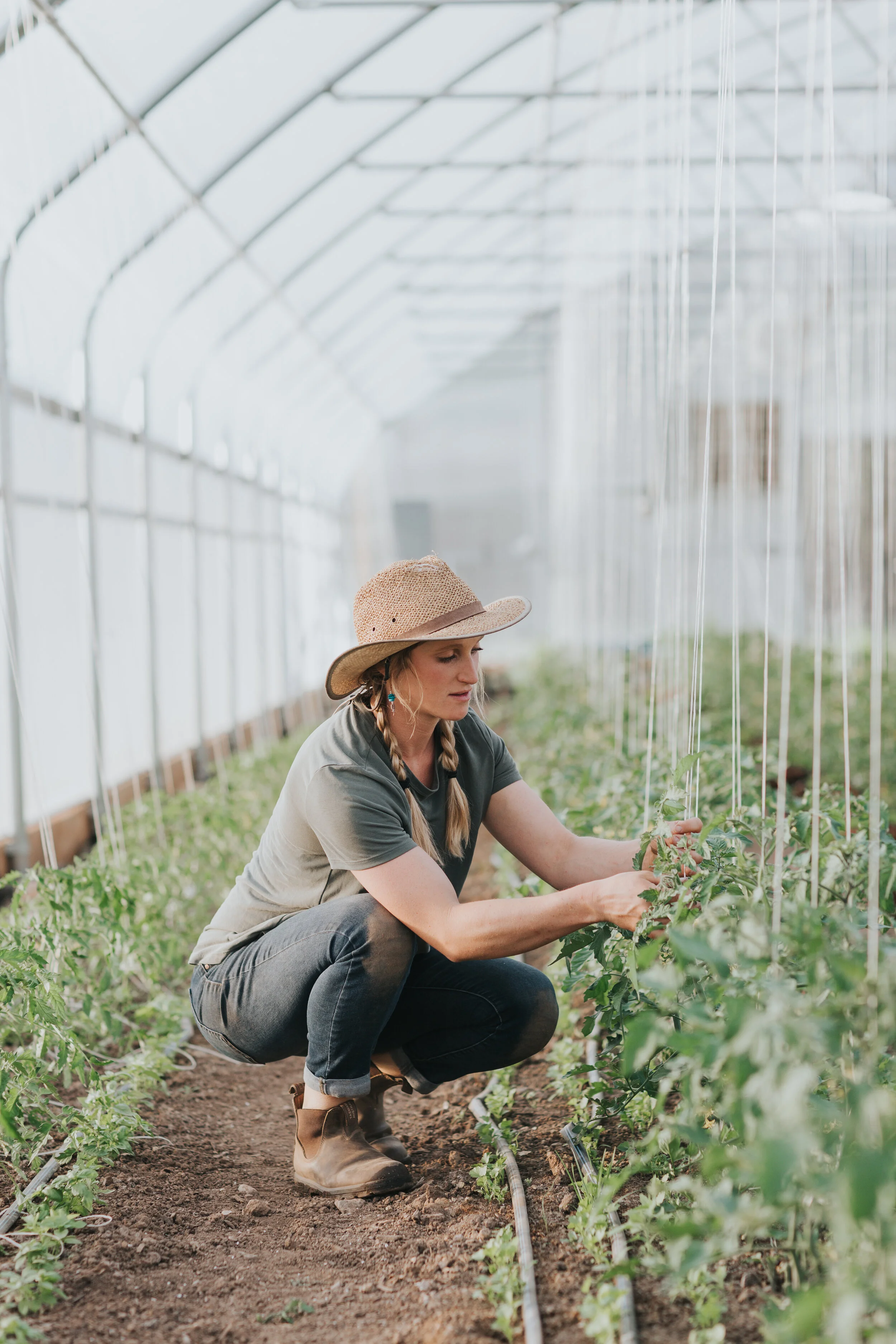 Consulting — Two Roots Farm