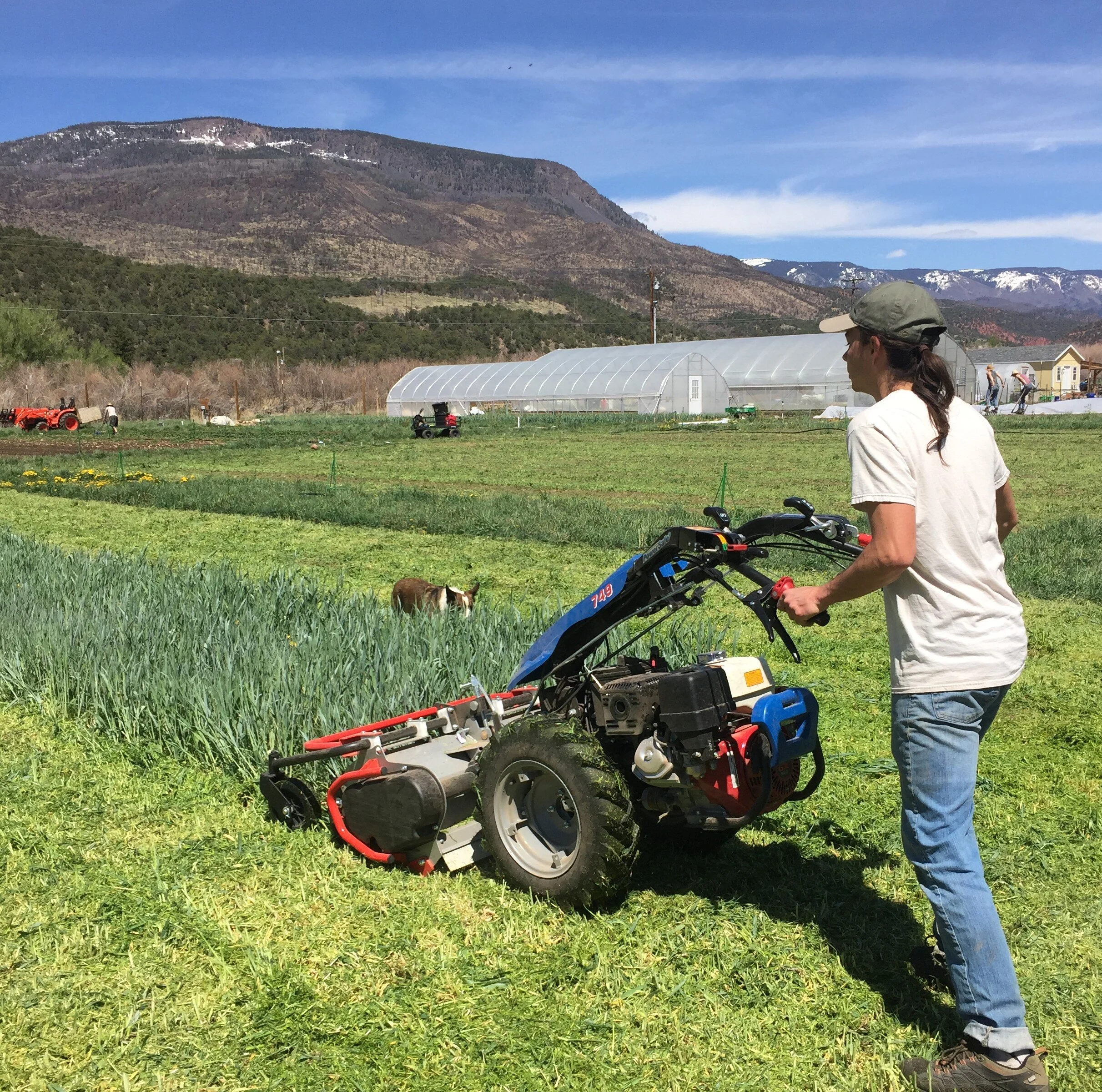 PHOTOS — Two Roots Farm